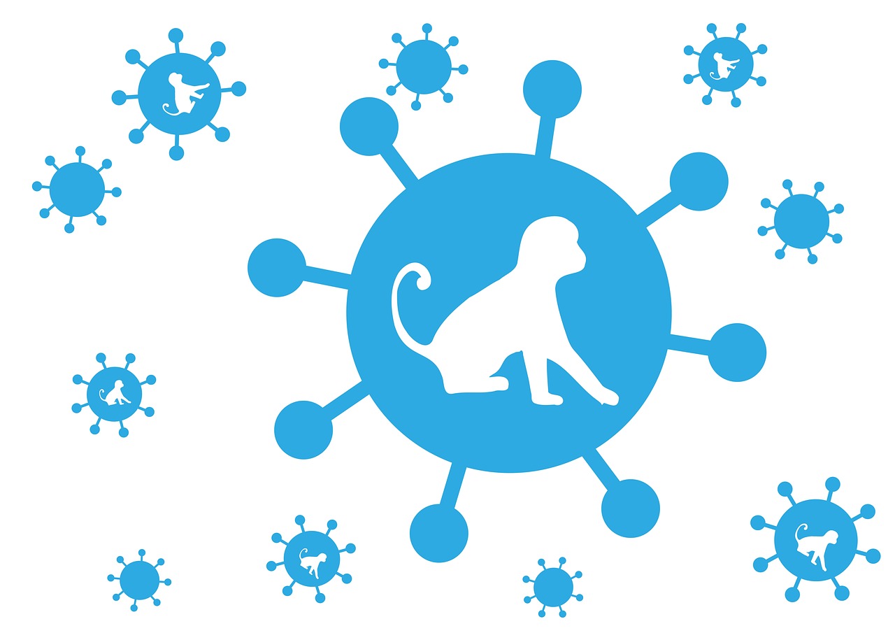 Nepal confirms a second monkeypox case - The Himalayan News